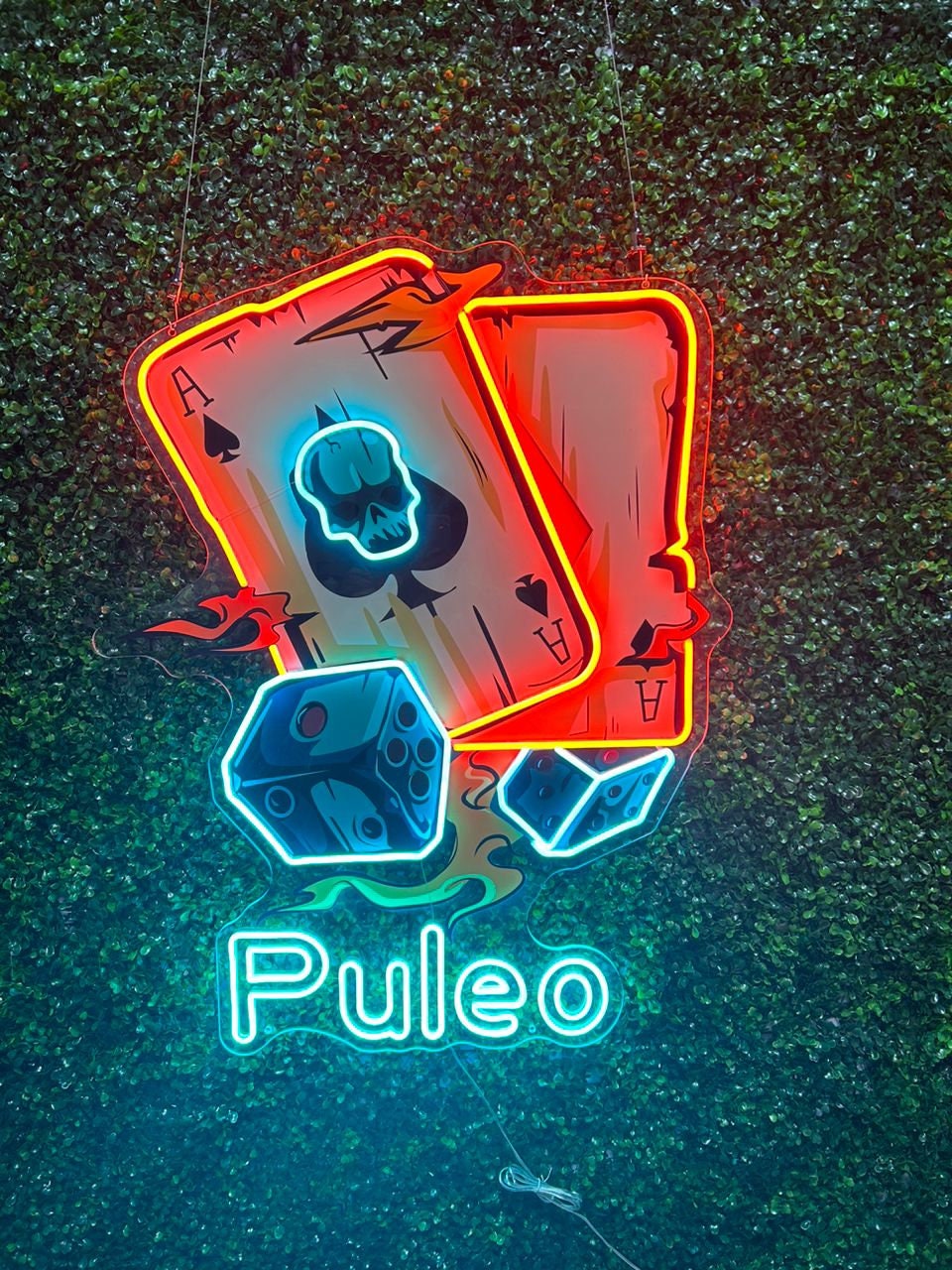 Custom Neon Sign Logo for Business, Custom Neon Sign Logo, LED Wall ...