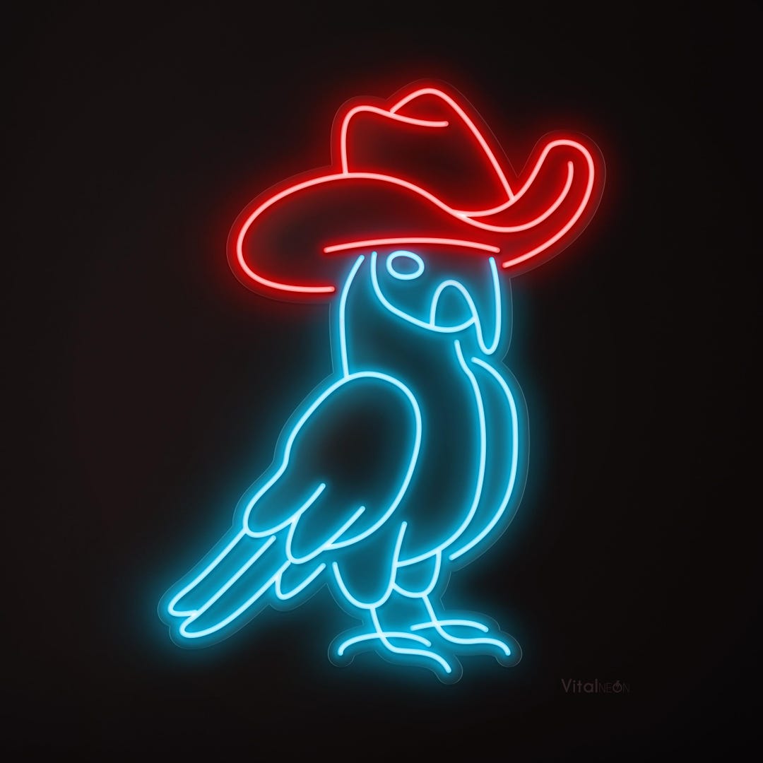 Parrot Cowboy Neon Sign – LED Wall Art, Kids Room or Bird Lover Gift - Etsy