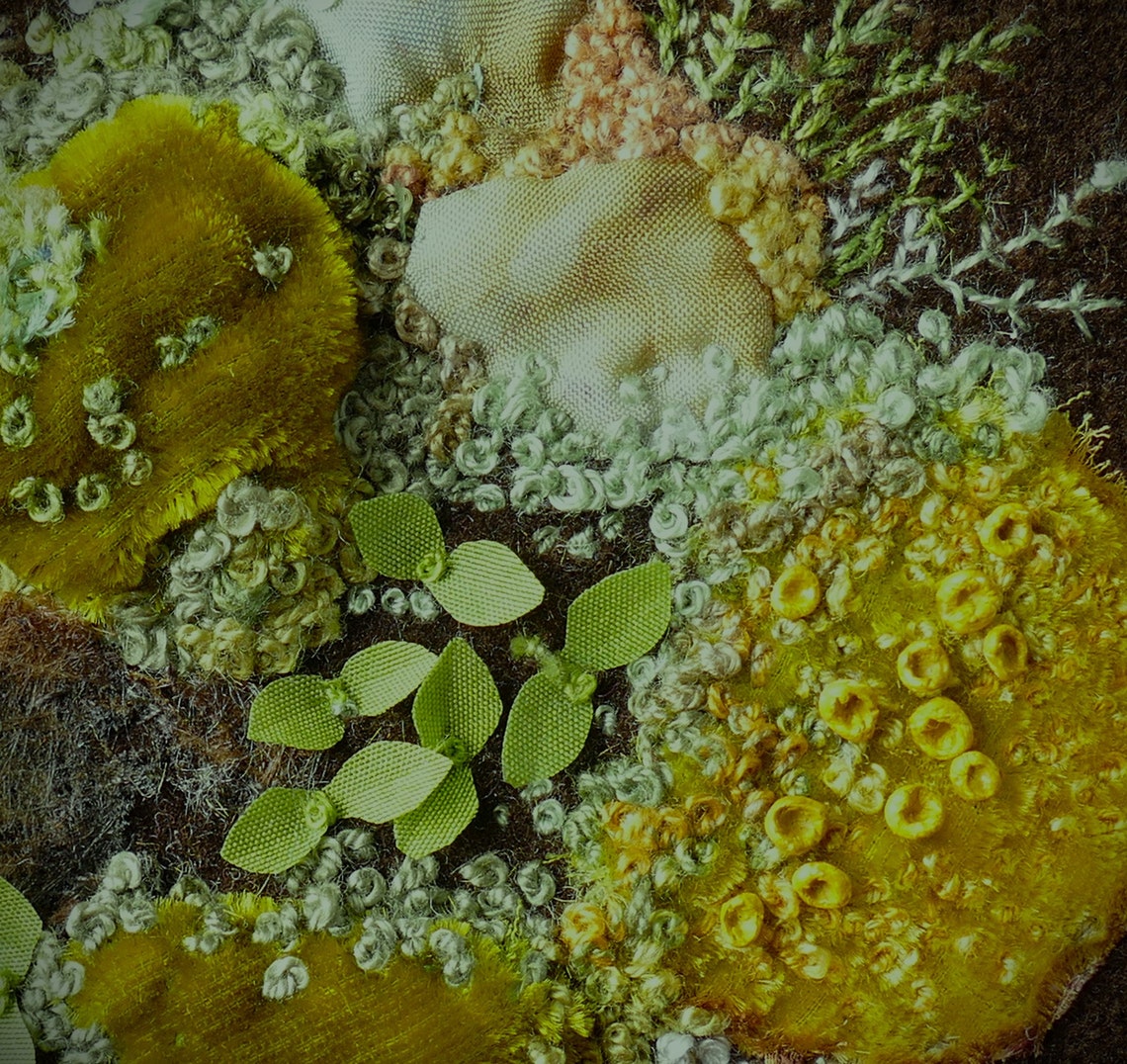 Moss Embroidery in a Rustic Frame - Etsy