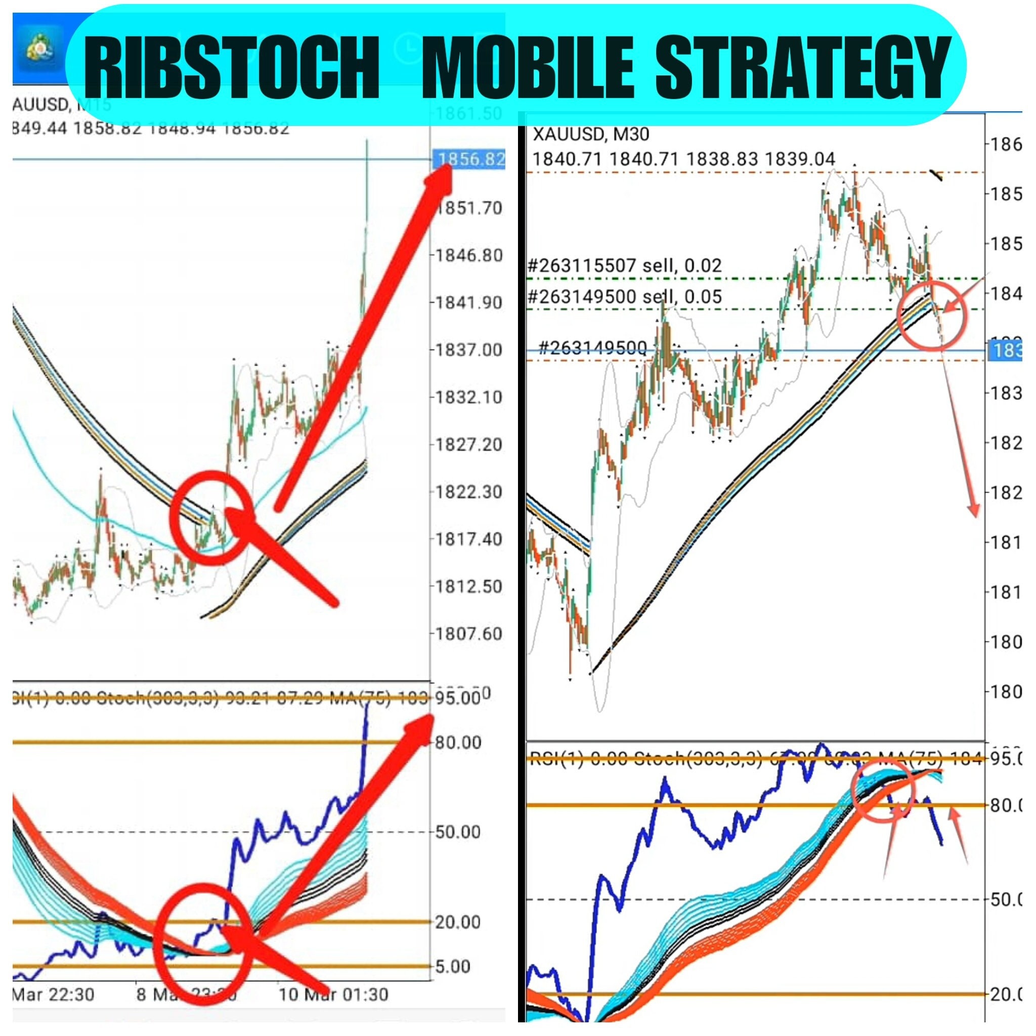 RIBSTOCH MOBILE TRADING Strategy Forex Indicator Phone Trading Gold ...