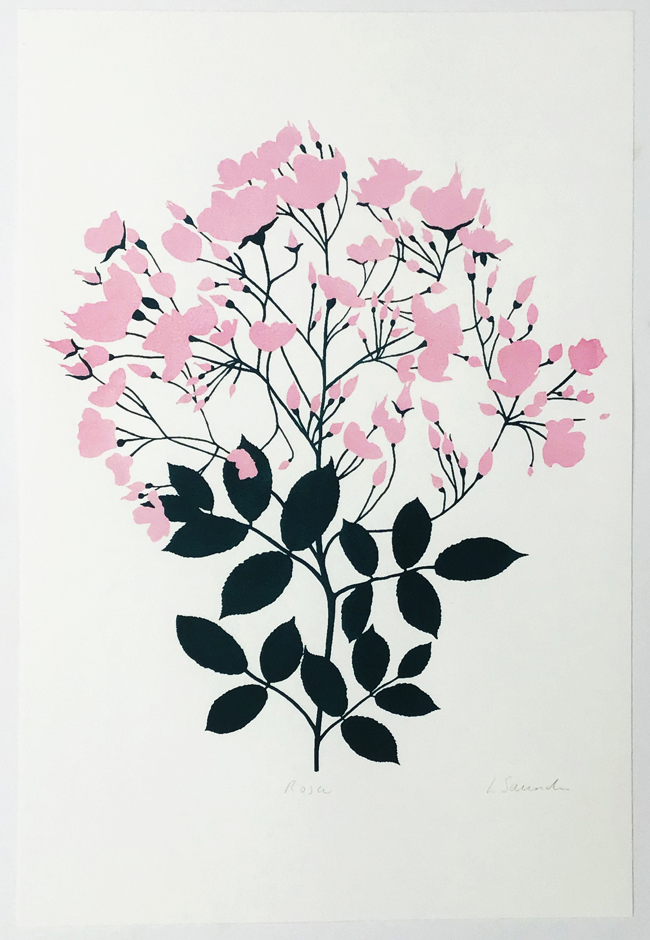Rosa - Silk Screen Print - Etsy