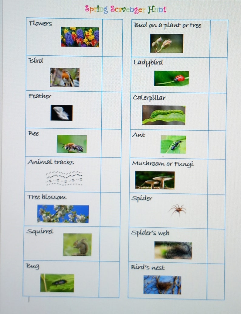 Printable Spring Outdoor Scavenger Hunt - Etsy