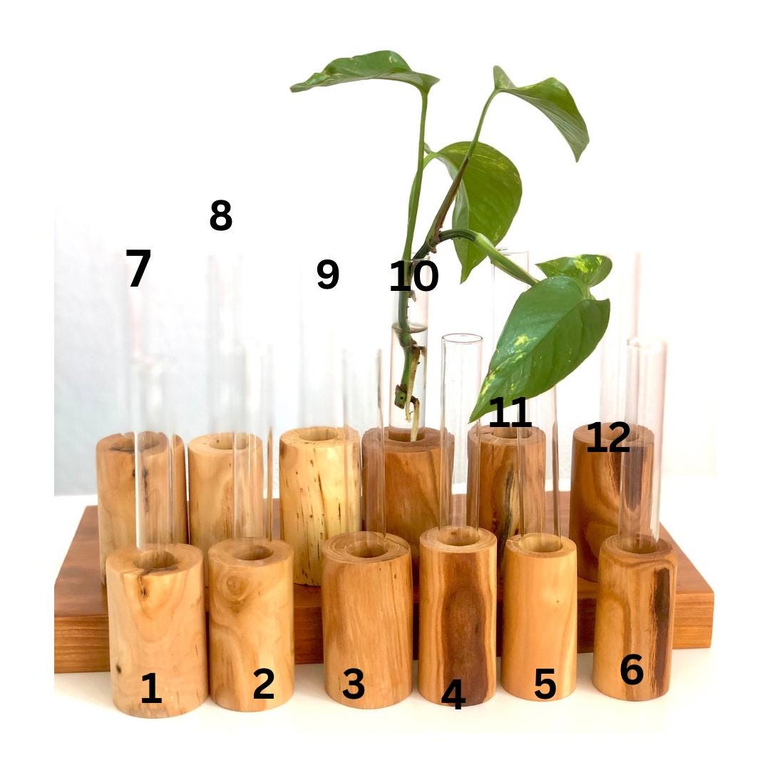 Test Tube Wooden Vase / Minimalist Flower Vase/ Rustic Propagation Vase ...