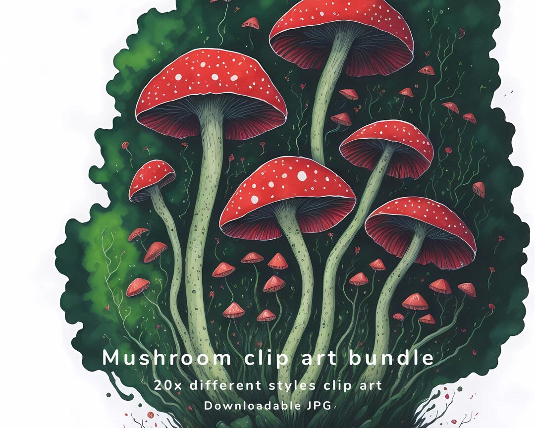 Mushrooms Clip Art Bundle Mystical Mushrooms Dreamy Clipart Mushroom ...