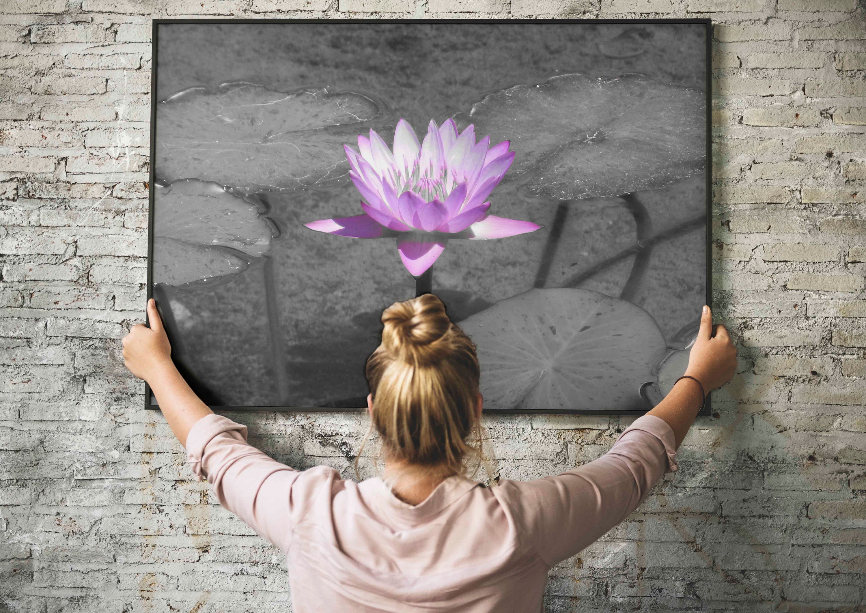 Water Lily Printable Photo Nature Digital Print Wall Art Home Decor ...