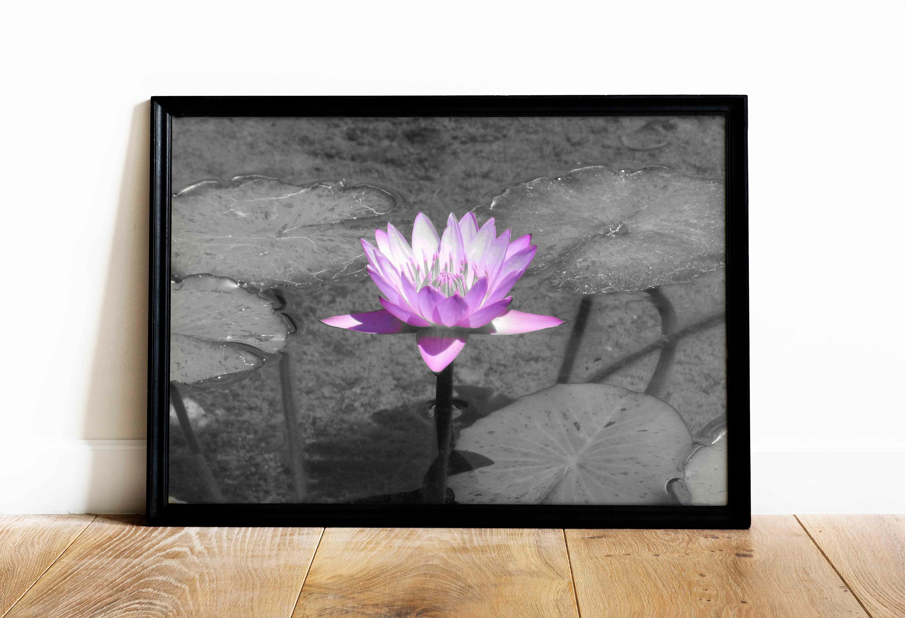 Water Lily Printable Photo - Nature Digital Print - Wall Art Home Decor ...