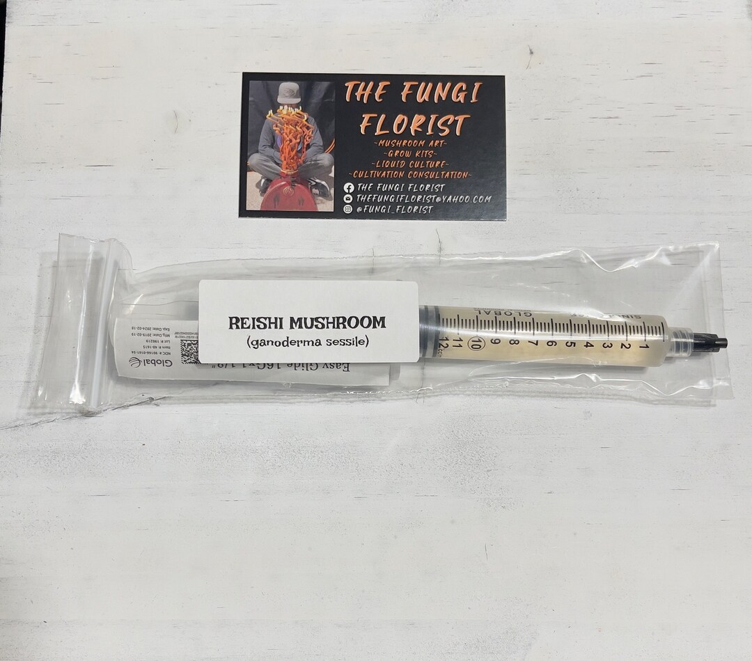 Reishi Ganoderma Sessile Liquid Culture Syringe 12cc - Etsy