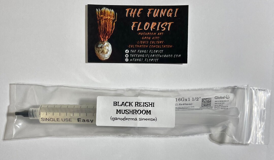 Black Reishi Ganoderma Sinense Liquid Culture Syringe 10ml - Etsy