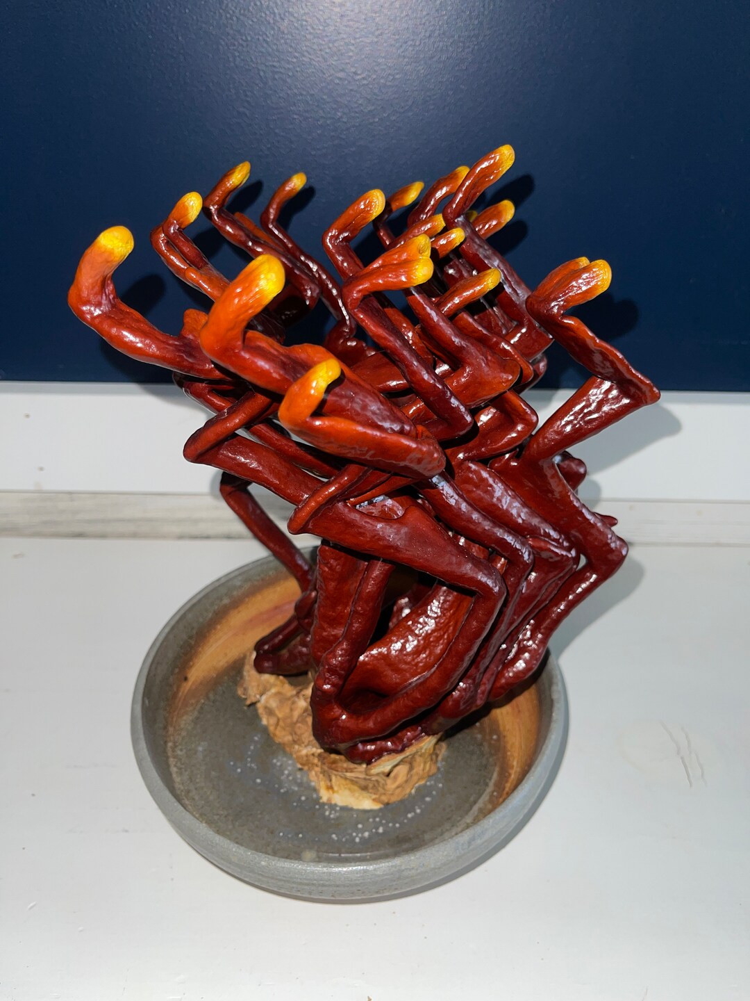 Beautiful Homegrown Reishi Antlers Mounted in Handmade Ceramic Bowl ...