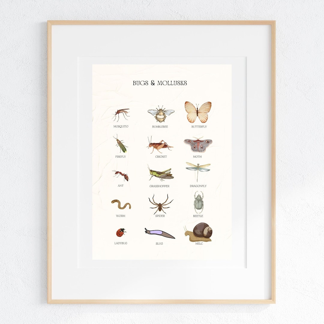 Educational Bugs Poster, Insects Print, Vintage Watercolor, Printable ...