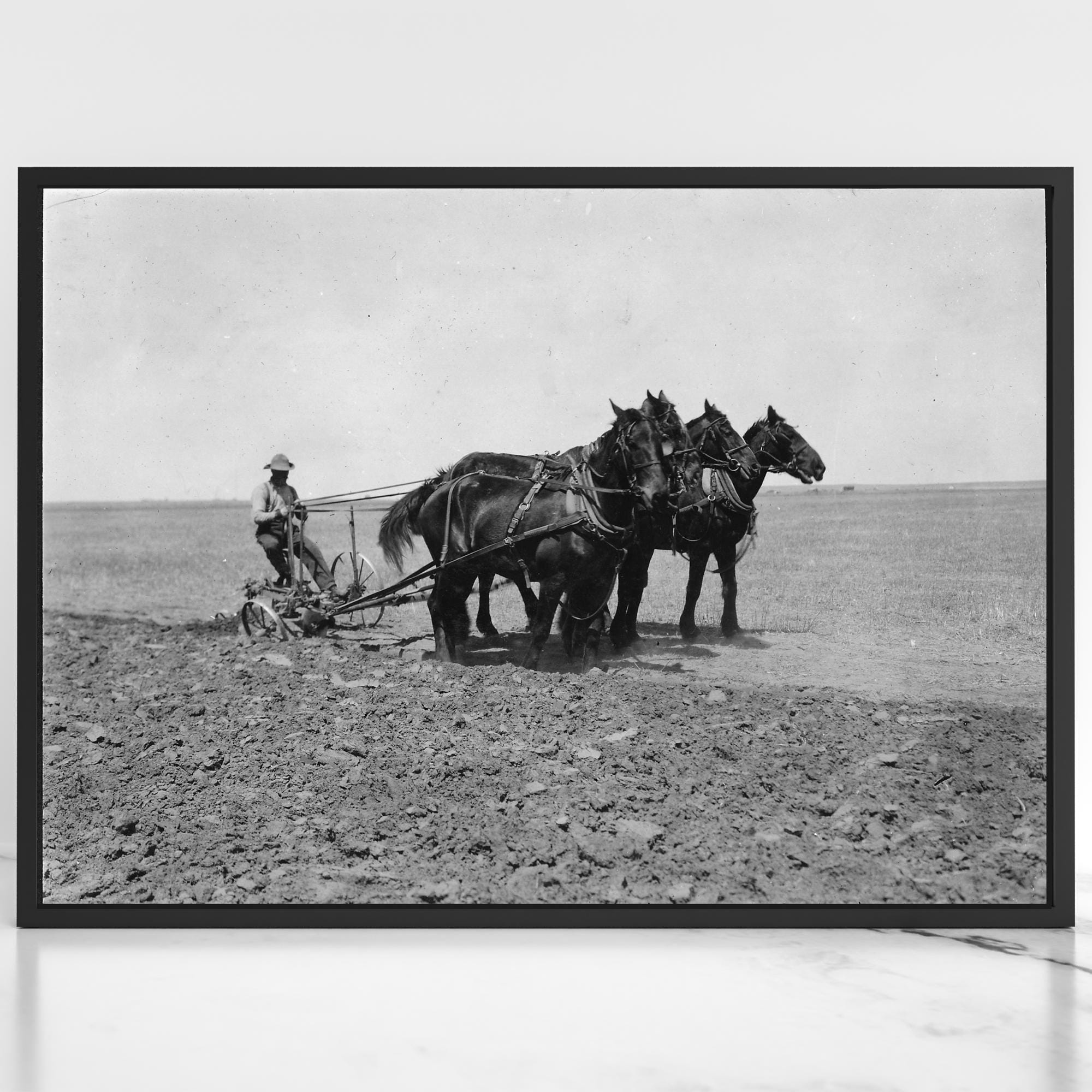 Ploughing With Horses Wall Art Vintage Farm Black and White Photo ...