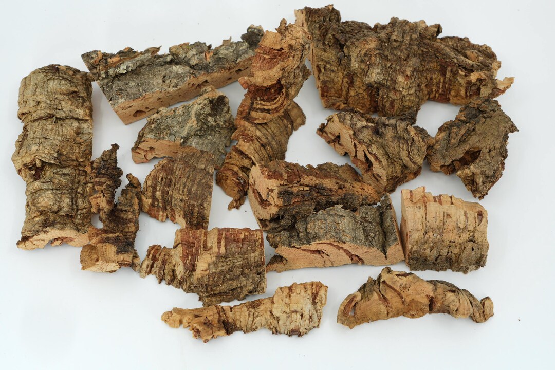 Cork Bark Chunks and Pieces Tropical Plant Mount Terrarium / Viavarium ...
