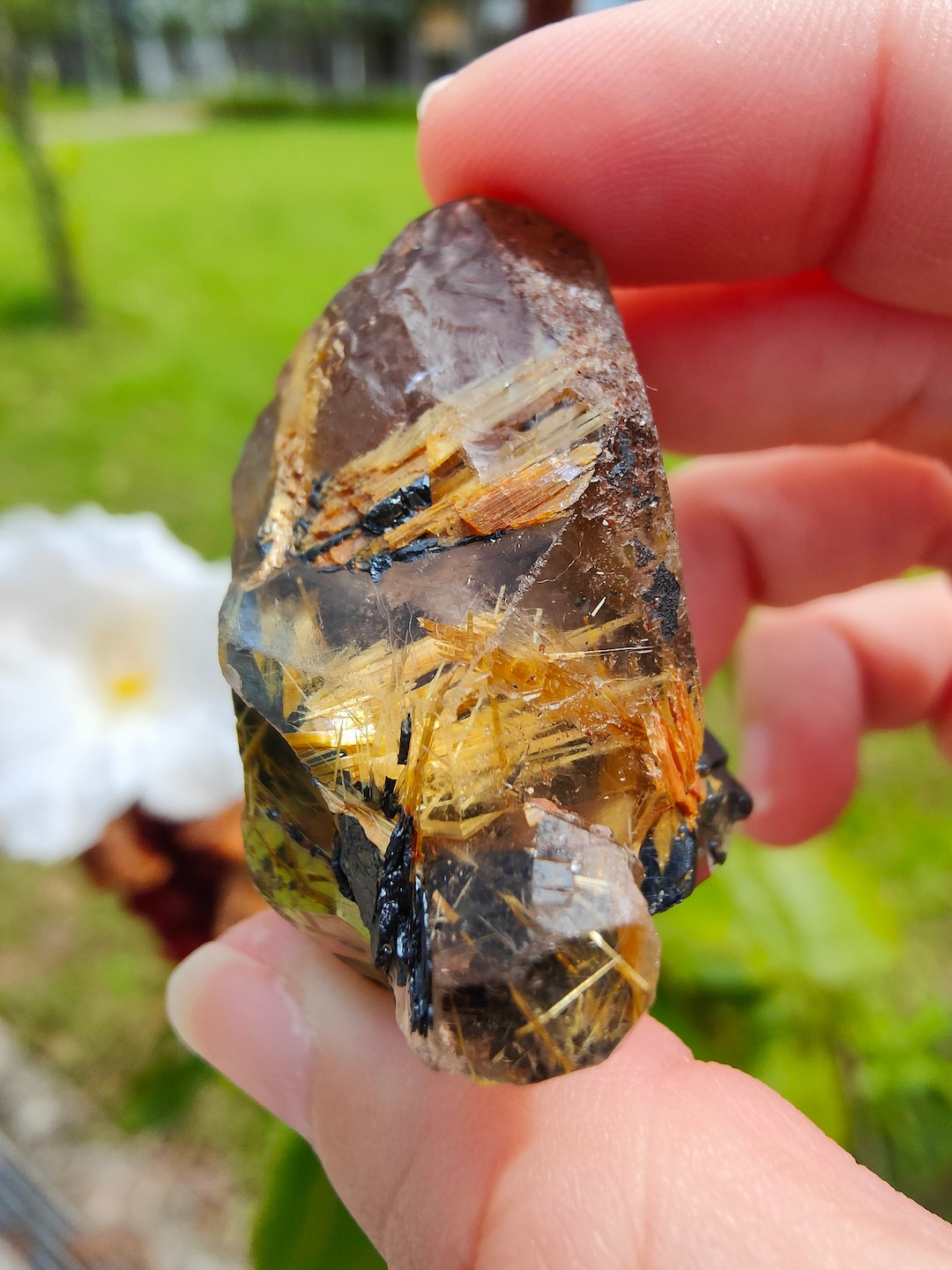 Rare Gold Rutilated Quartz Raw Specimen, Power Stone, Manifestation ...