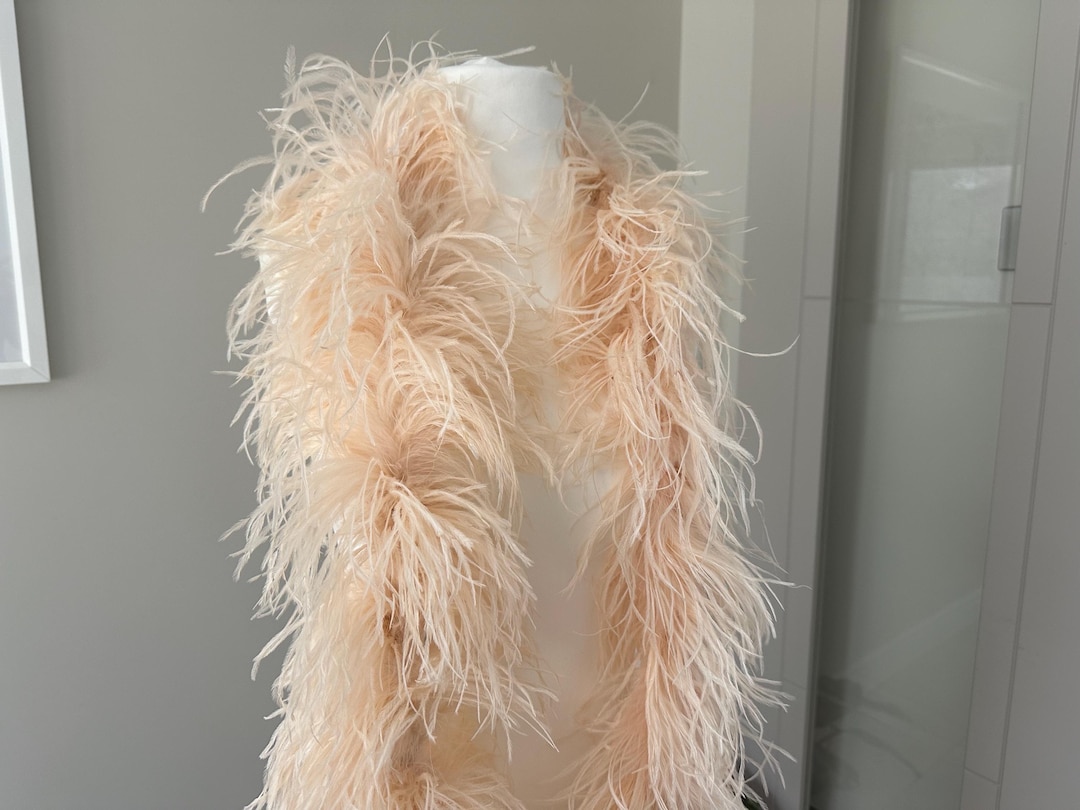Blush Pink Fluffy Ostrich Feather Boa Trim 8 Ply Clothing Bag ...