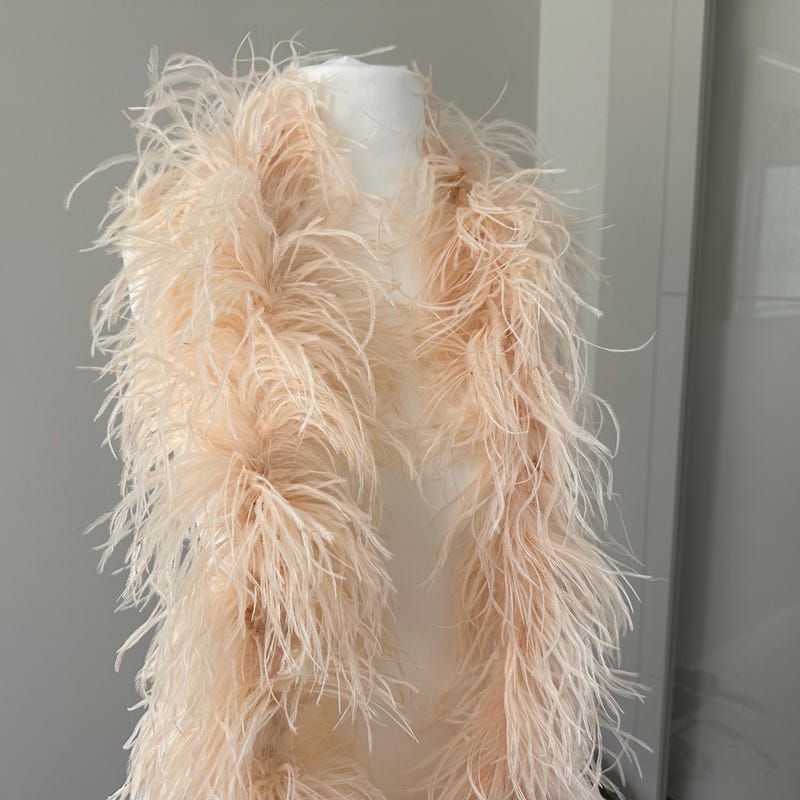 Blush Boa Feathers - Etsy UK