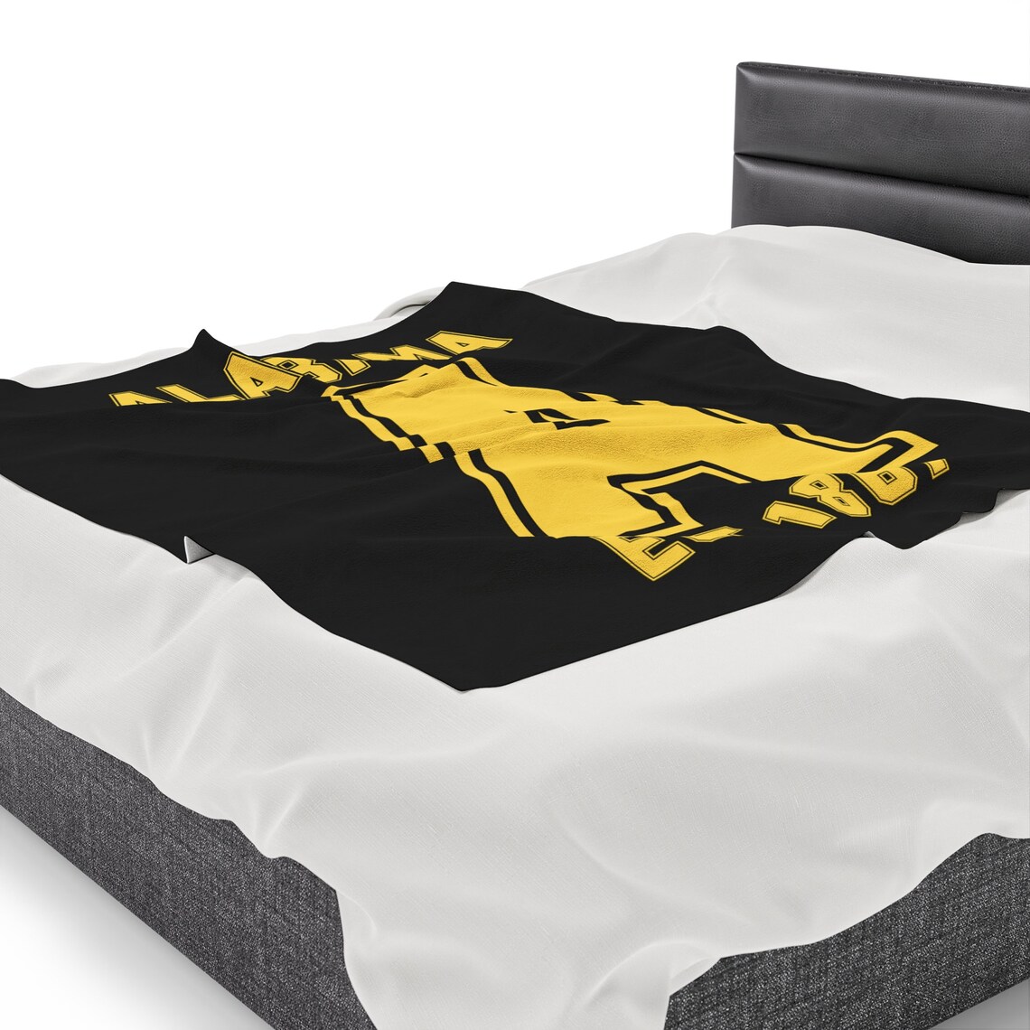 Alabama State Plush Blanket - 107 HBCU - ASU Almuni - Etsy