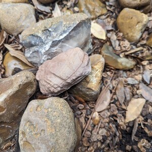 Realistic Rock Geocache 3d Printed Geocaching Container With Log Ready ...