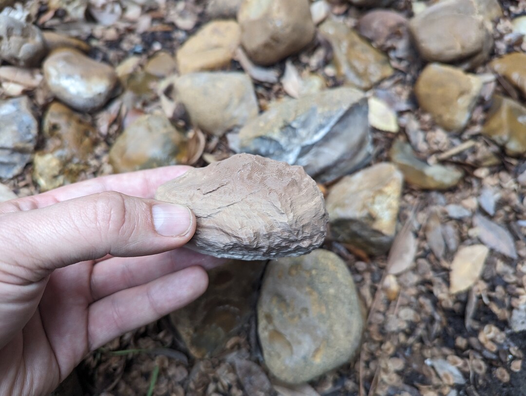 Realistic Rock Geocache 3d Printed Geocaching Container With Log Ready ...