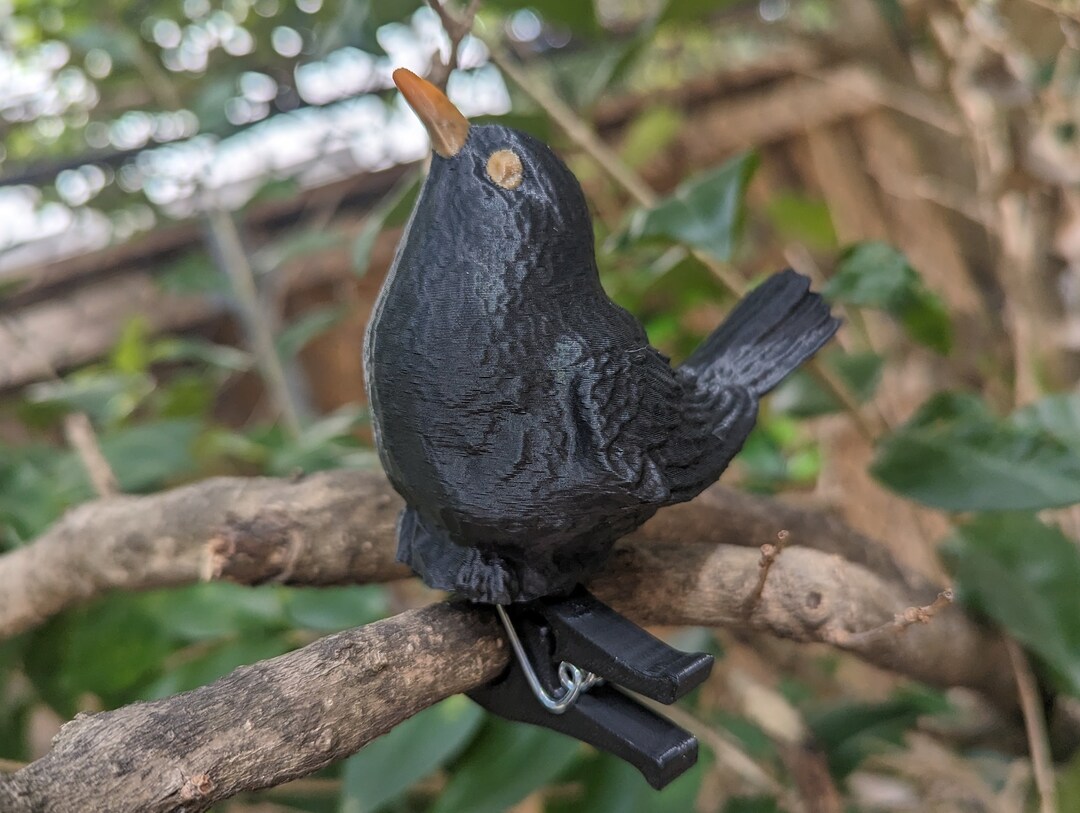 3D Printed Bird Geocache With Log & Clip or Tether - Etsy