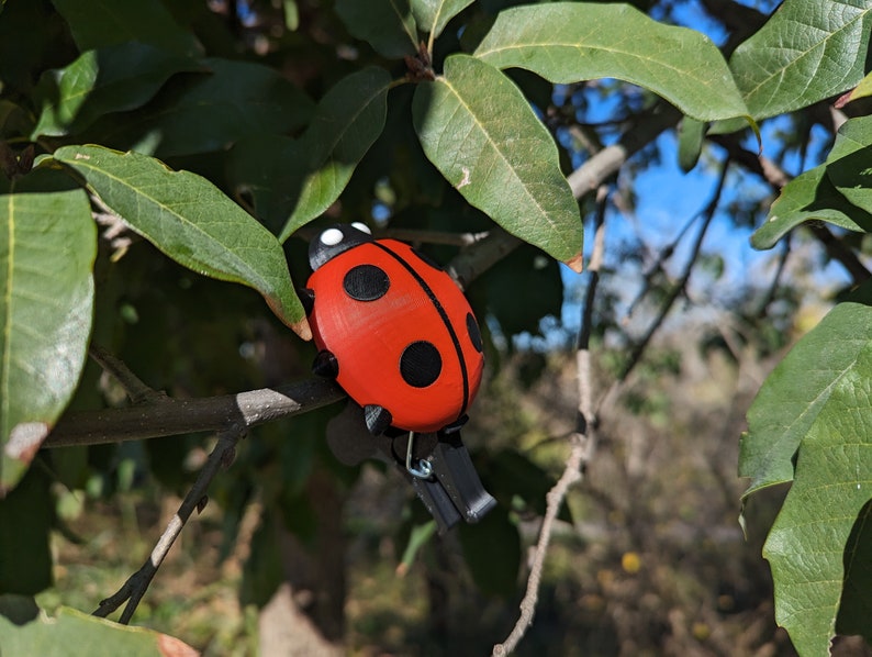 Ladybug 3d Printed Geocaching Container With Log and Clip Unique ...