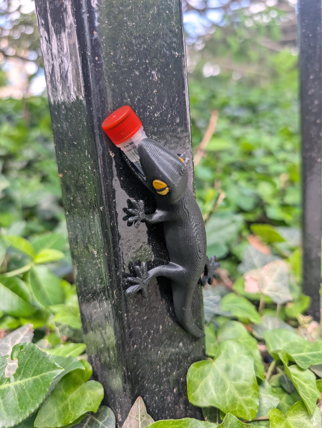 Gecko Geocache - Cute and Funny 3d Printed Geocaching Container With ...