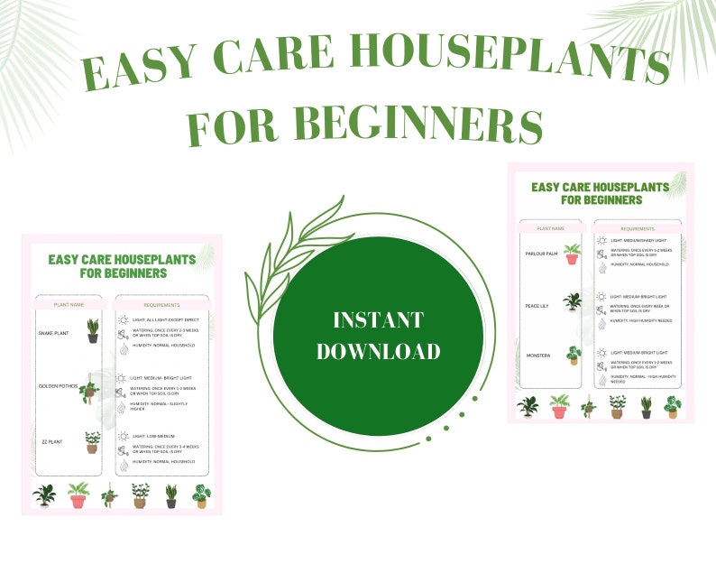 Easy Care Houseplants for Beginner Houseplant Care Digital Download ...