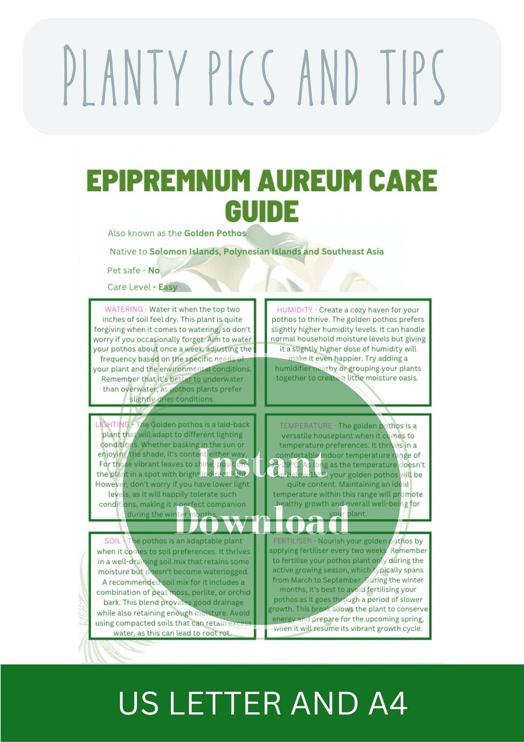 Pothos Care Guide Essential Pothos Plant Care Guide Mastering ...