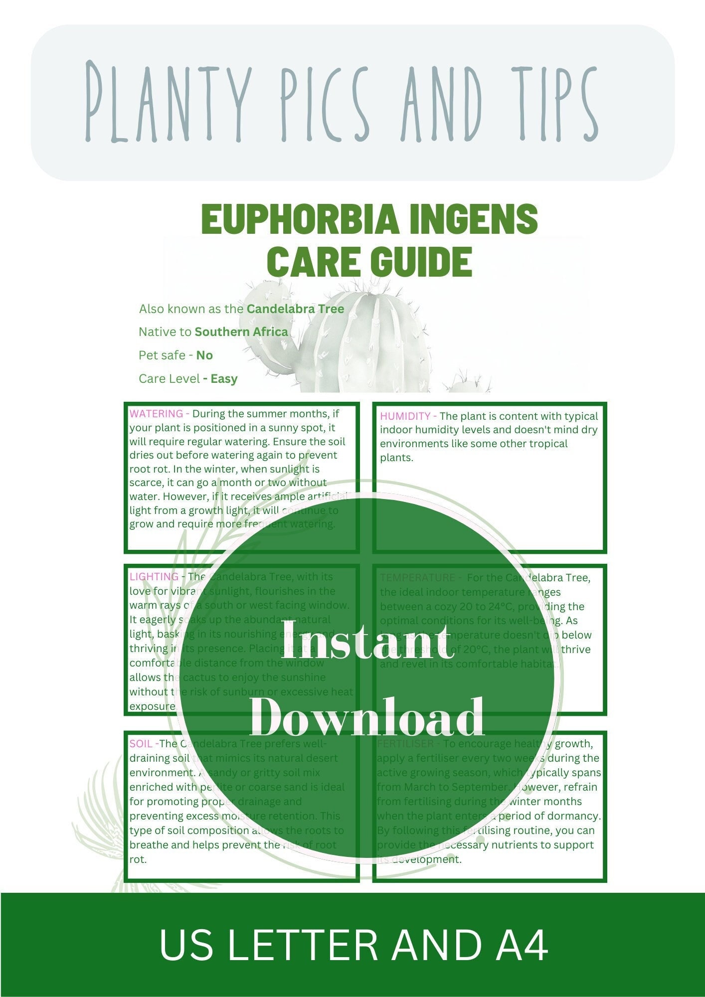 Euphorbia Ingens Care Guide Candelabra Tree Plant Care for Easy Plant ...