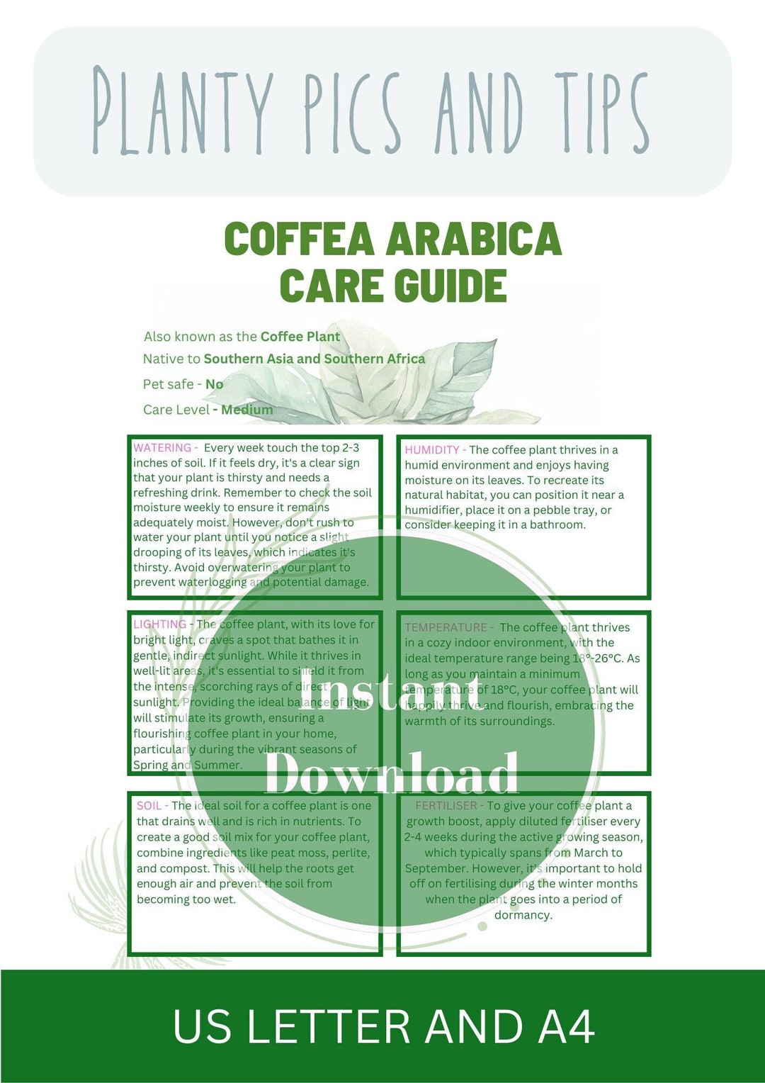 Coffee Plant Care Guide Plant Templates Houseplant Care Guide Indoor ...