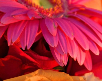 Vibrant Pink Wall Kit - Etsy