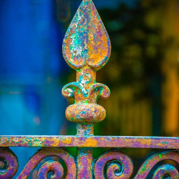 French Quarter Decor - Etsy