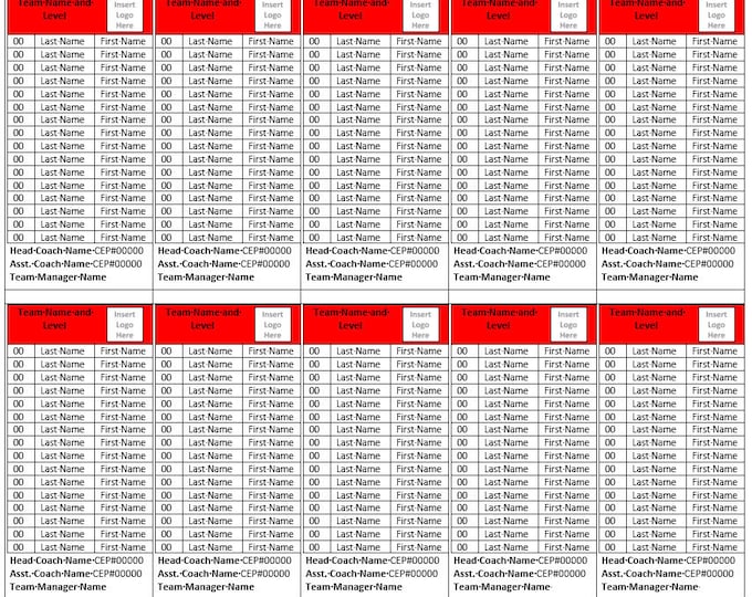 Custom Hockey Roster Stickers for Tournaments - Etsy