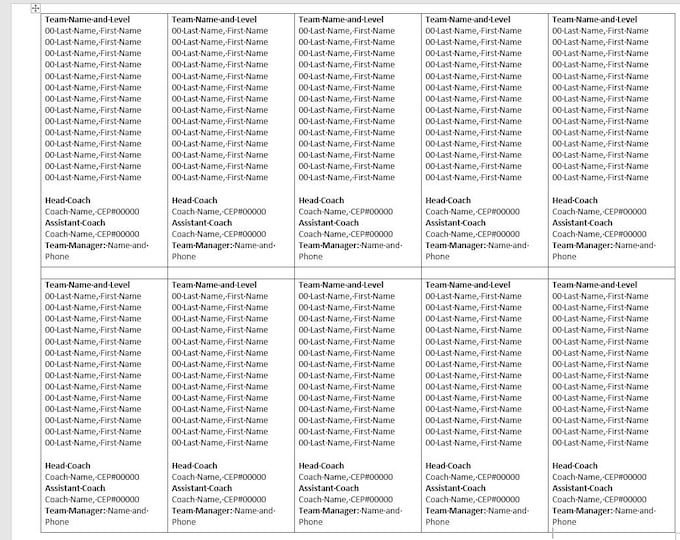 Custom Hockey Roster Stickers for Tournaments - Etsy