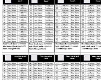 Sports Scoresheet Roster Label Word Template - With LIGHT BLUE Color ...