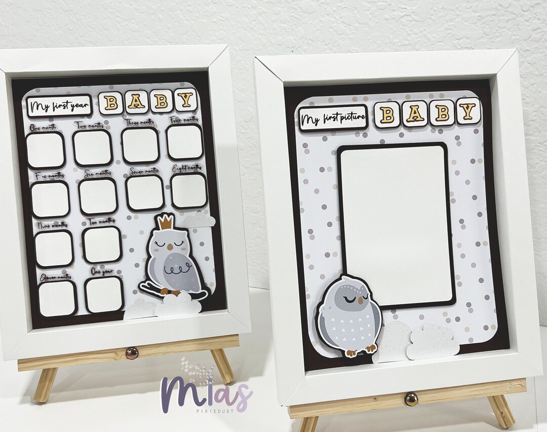 Baby First Picture Frame Newborn Baby Owl Baby Personalized Gift First ...