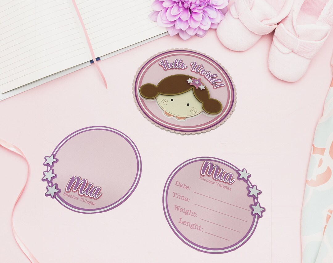 Birth Stats Sign for Hospital Photo Prop Hello World Baby Girl Sign ...