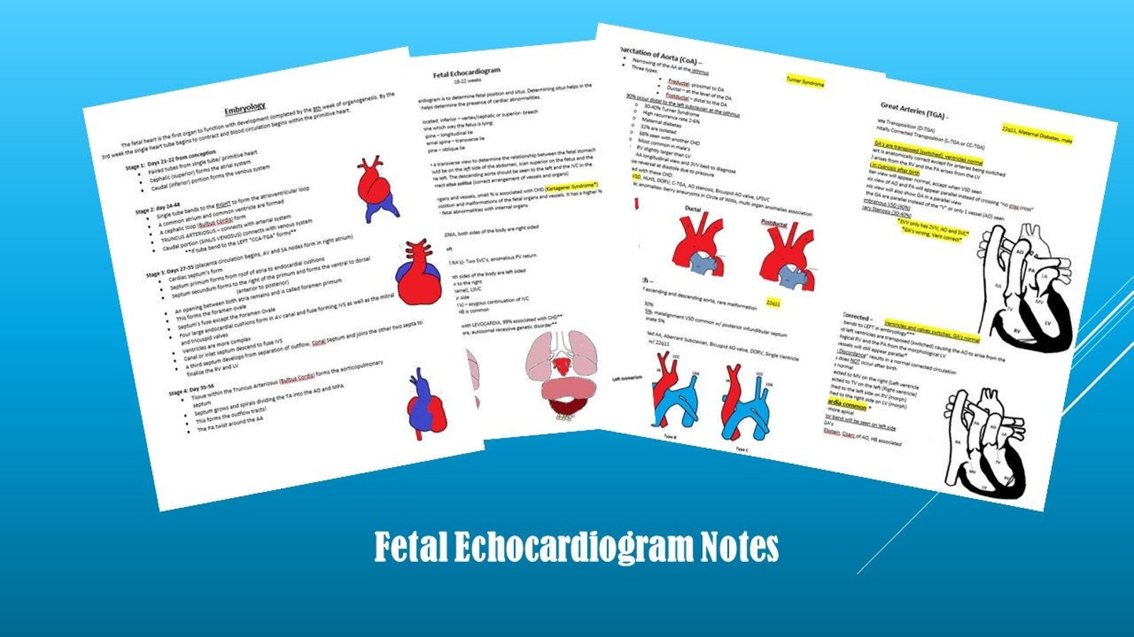 Ultrasound Fetal Echo Notes, Ultrasound Study Notes, Cardiac ...