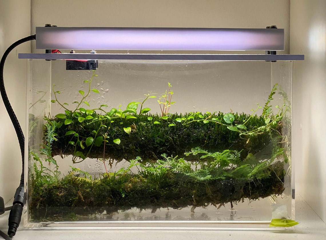 Mini Smart Terrarium Metabotany Biome Box - Etsy