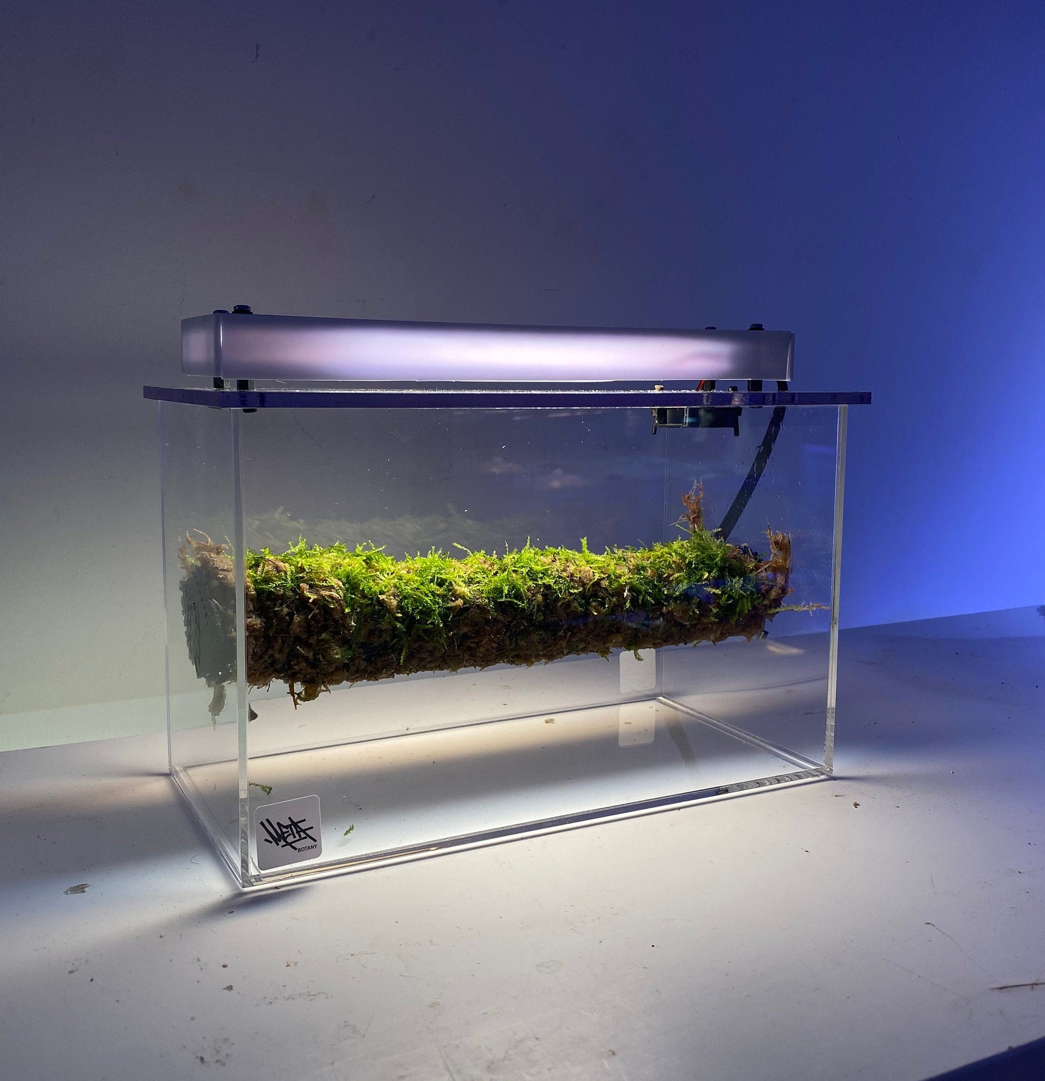 Mini Smart Terrarium - Metabotany Biome Box - Etsy