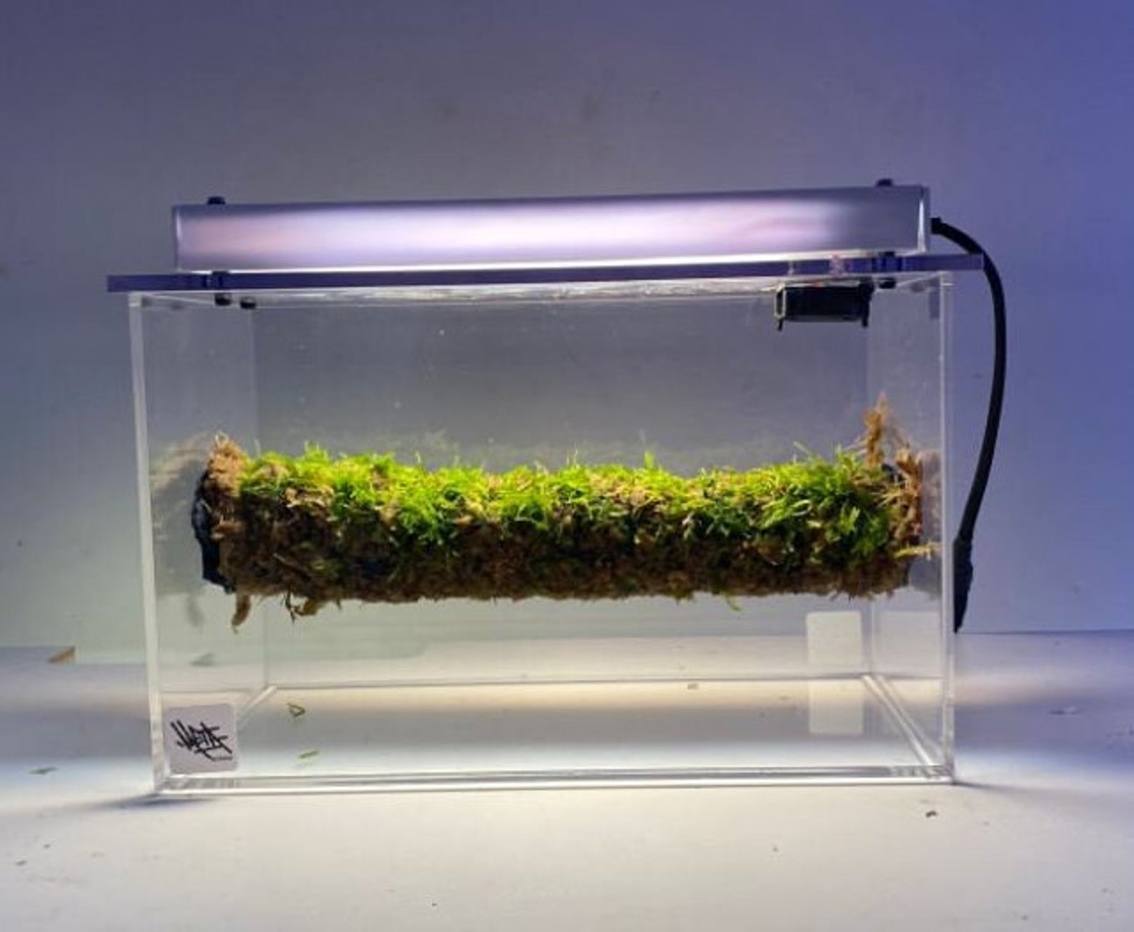 Mini Smart Terrarium Metabotany Biome Box - Etsy