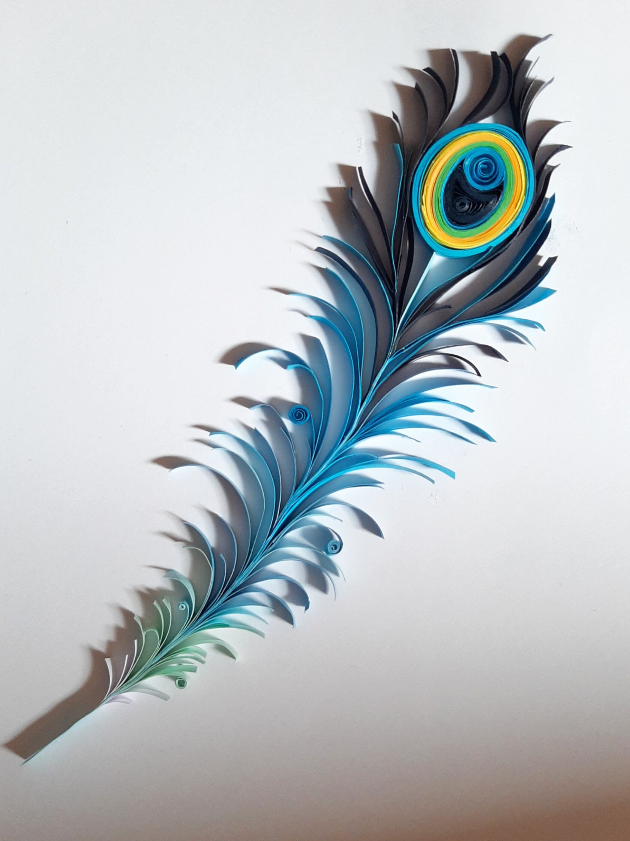 Quilled Peacock Feather - Etsy