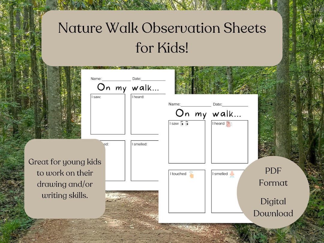 Nature Walk Observation Sheets for Kids - Outdoor Activities - Nature ...