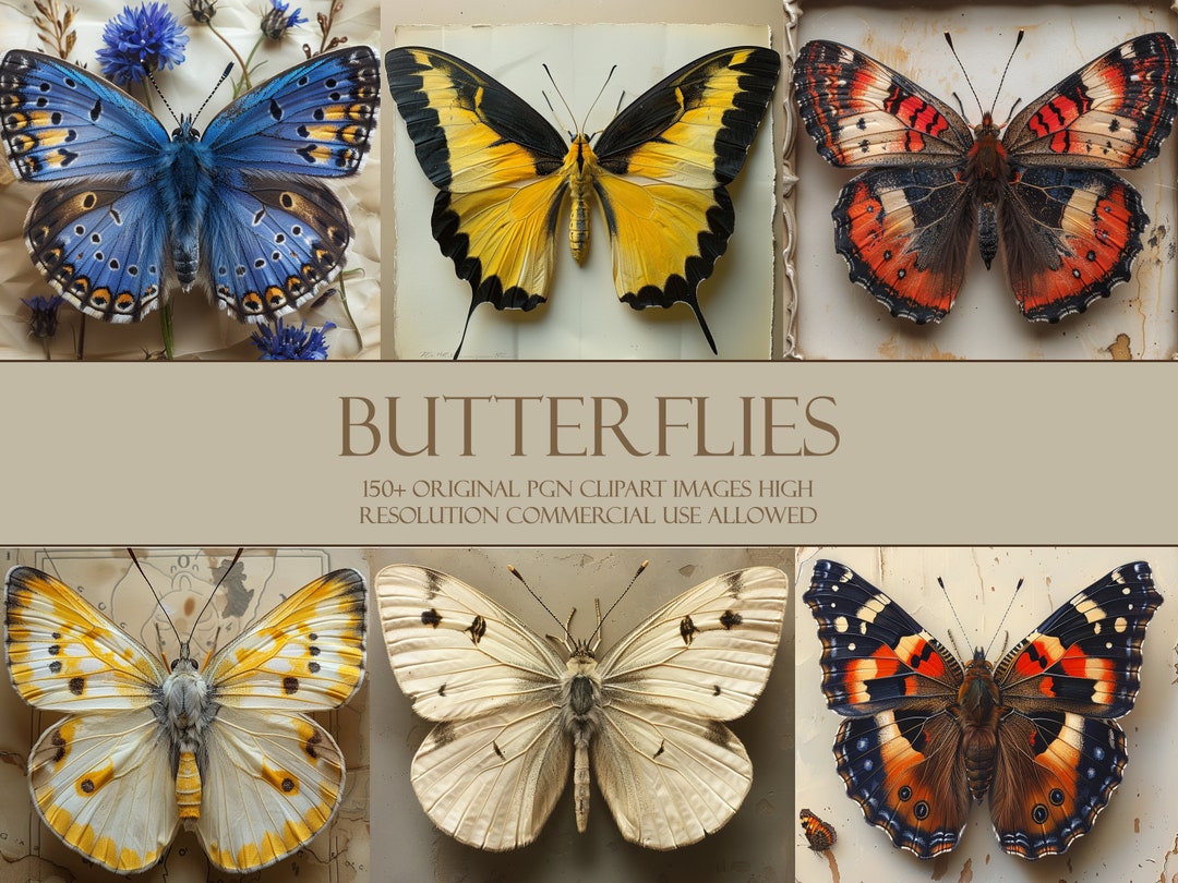 150+ Premium Butterfly Clip Art Bundle - Digital Download, PNG Files ...