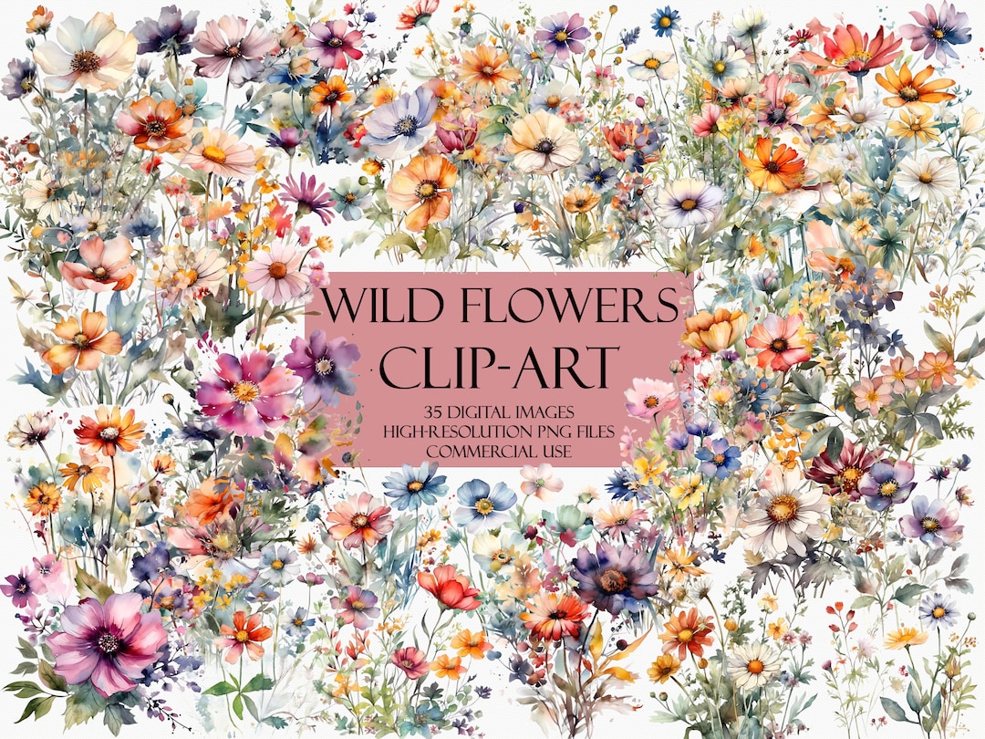 Watercolor Wildflower Clipart: Floral PNG Images, Commercial Use - Etsy
