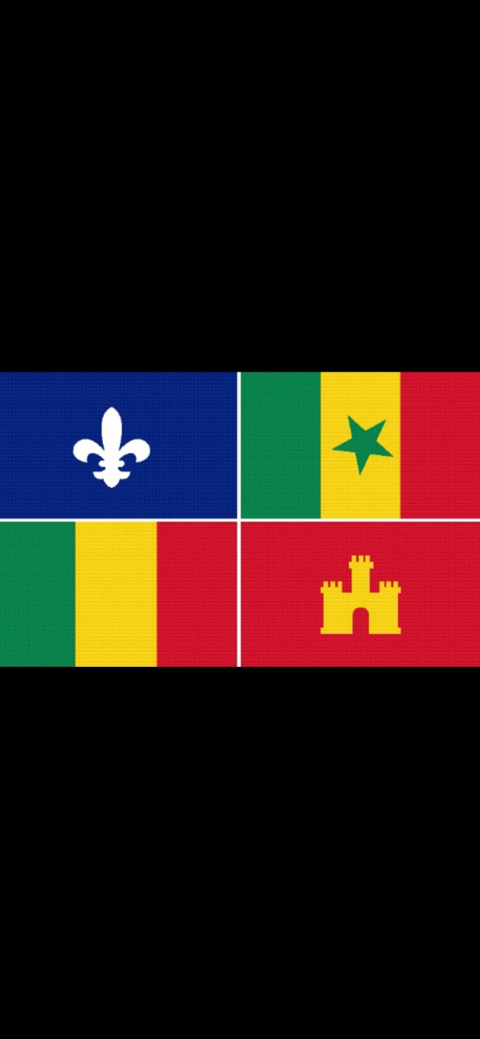 Louisiana Creole Flag - Etsy