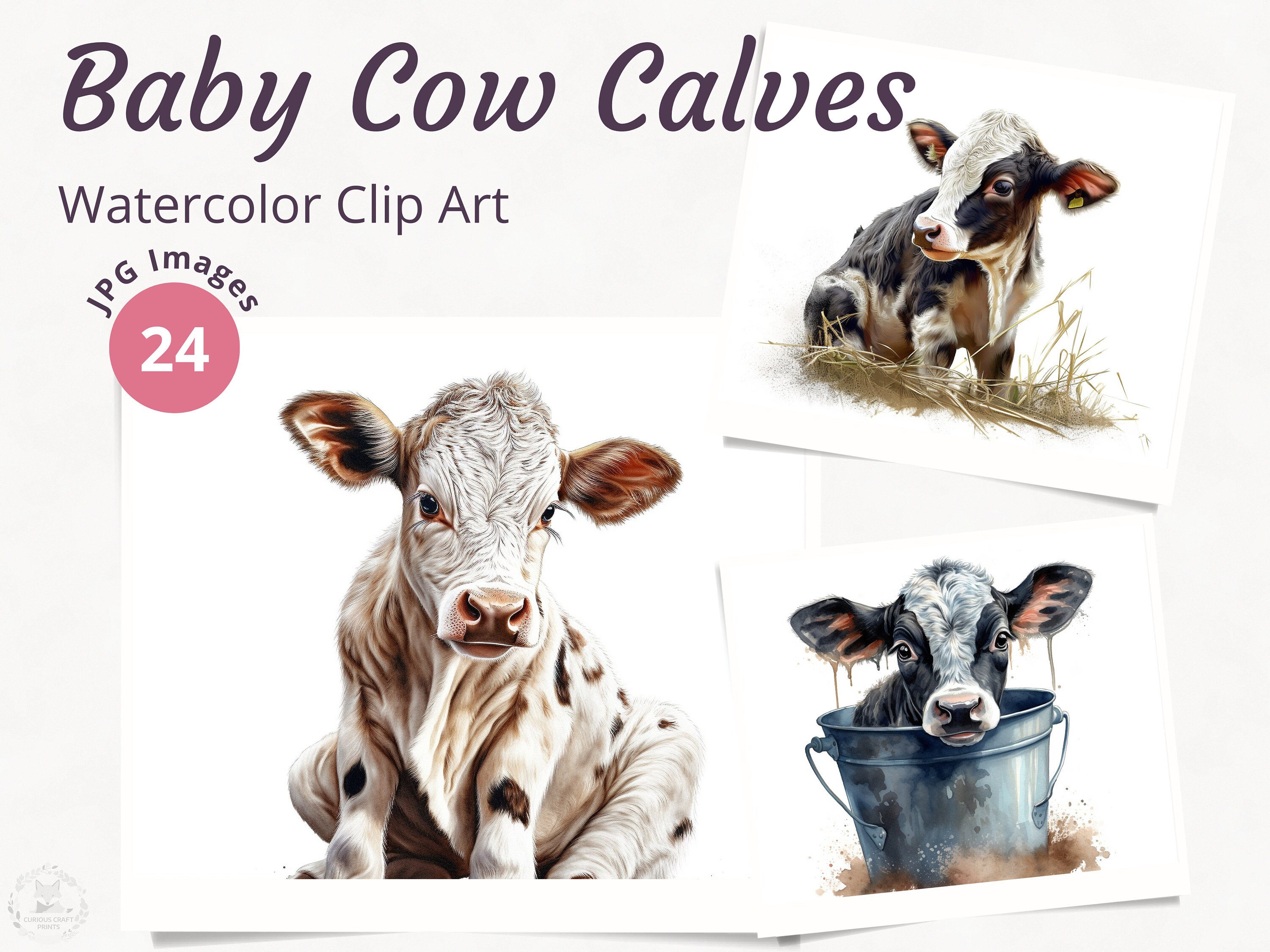 Watercolor Baby Cows Design Bundle Cow Calves Clipart Bundle - Etsy
