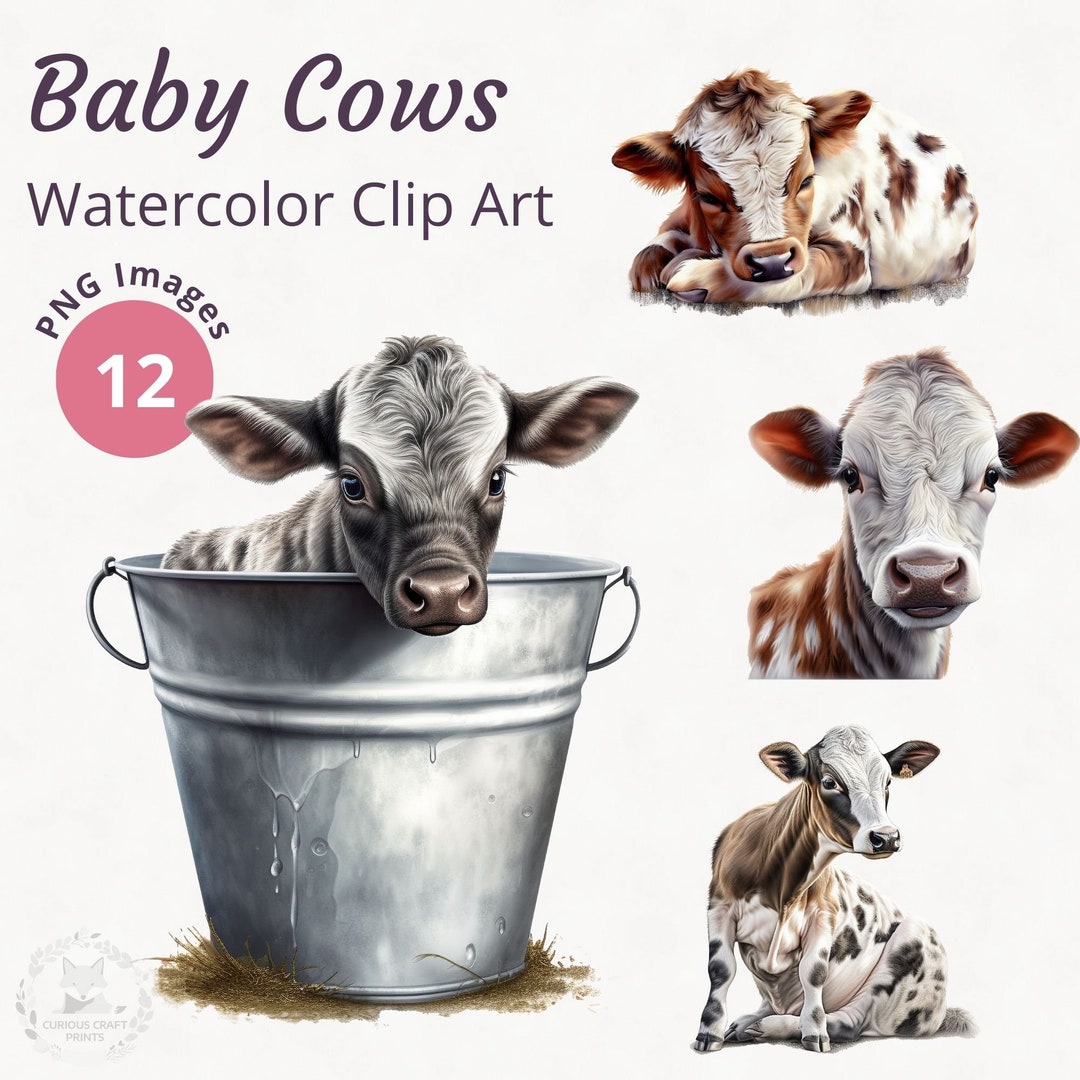 Watercolor Baby Farm Animal Design Bundle Baby Cows - Etsy