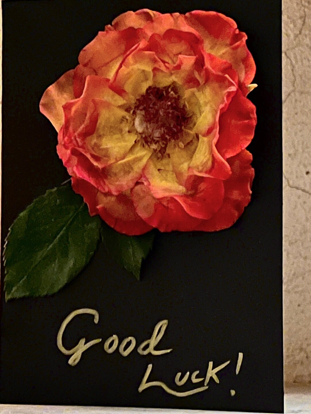 Custom Made Real Flower Cards, This is a Charity Project for Mutual Aid ...