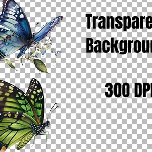 Monarch Butterfly Clipart | Watercolor Butterfly PNG | Floral Clipart ...