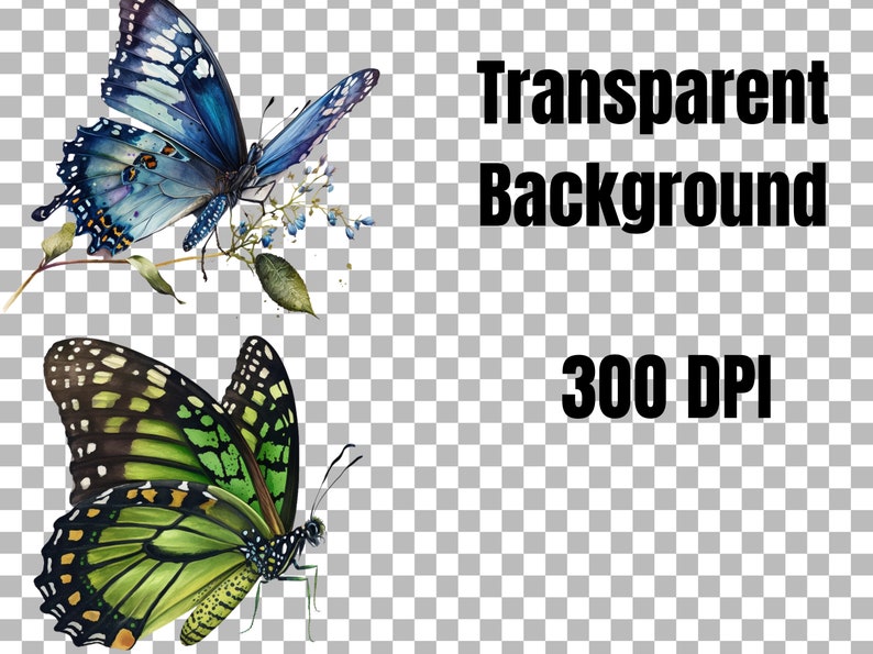 Monarch Butterfly Clipart Watercolor Butterfly PNG Floral Clipart ...